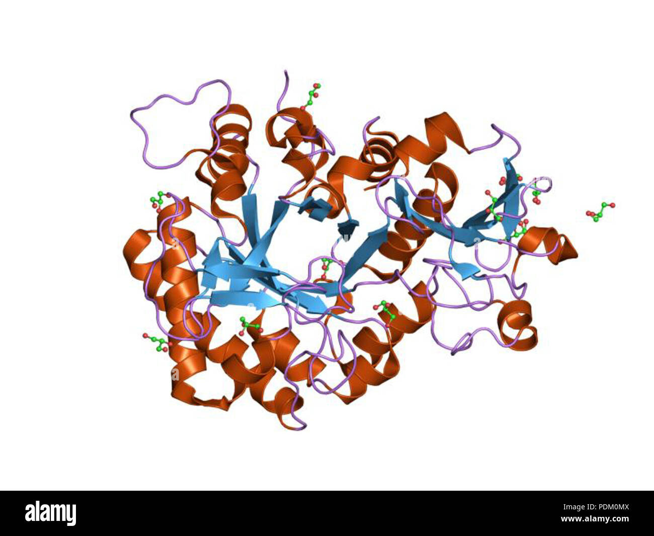 Biophysical experiments hi-res stock photography and images - Alamy