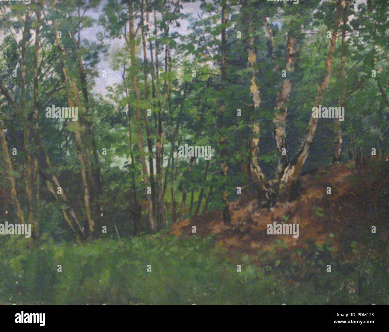 Crang hi-res stock photography and images - Alamy