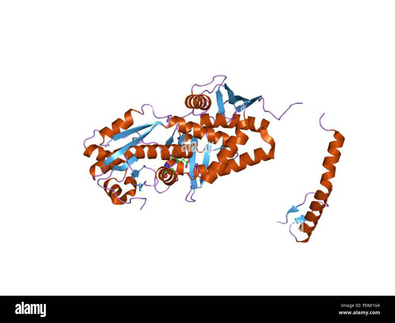 20th century military history hi-res stock photography and images - Alamy