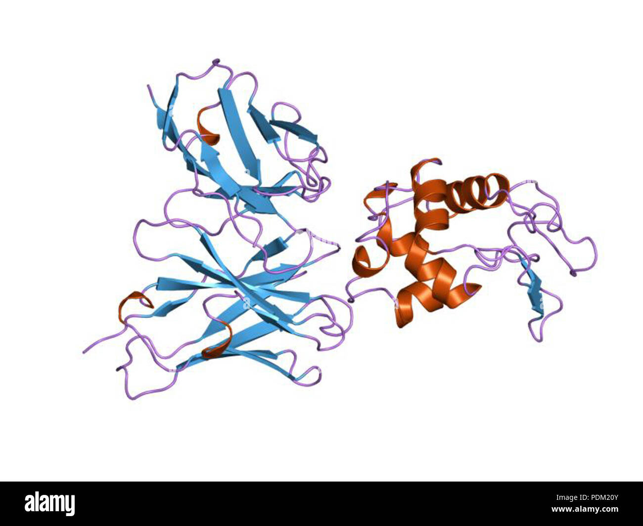66 PDB 1kiq EBI Stock Photo - Alamy