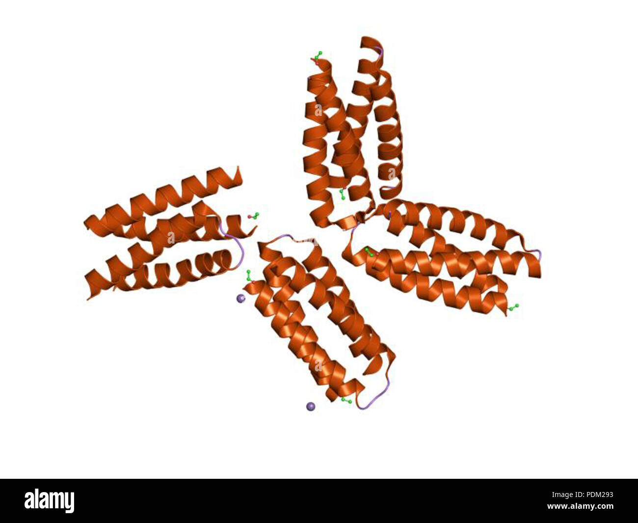 Military archival material hi-res stock photography and images - Alamy