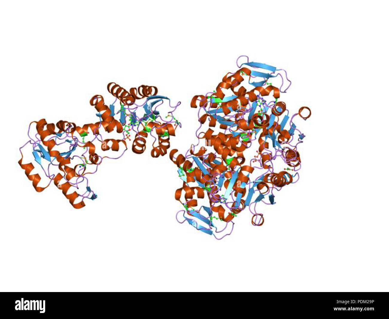Types protein structure proteins Cut Out Stock Images & Pictures - Alamy