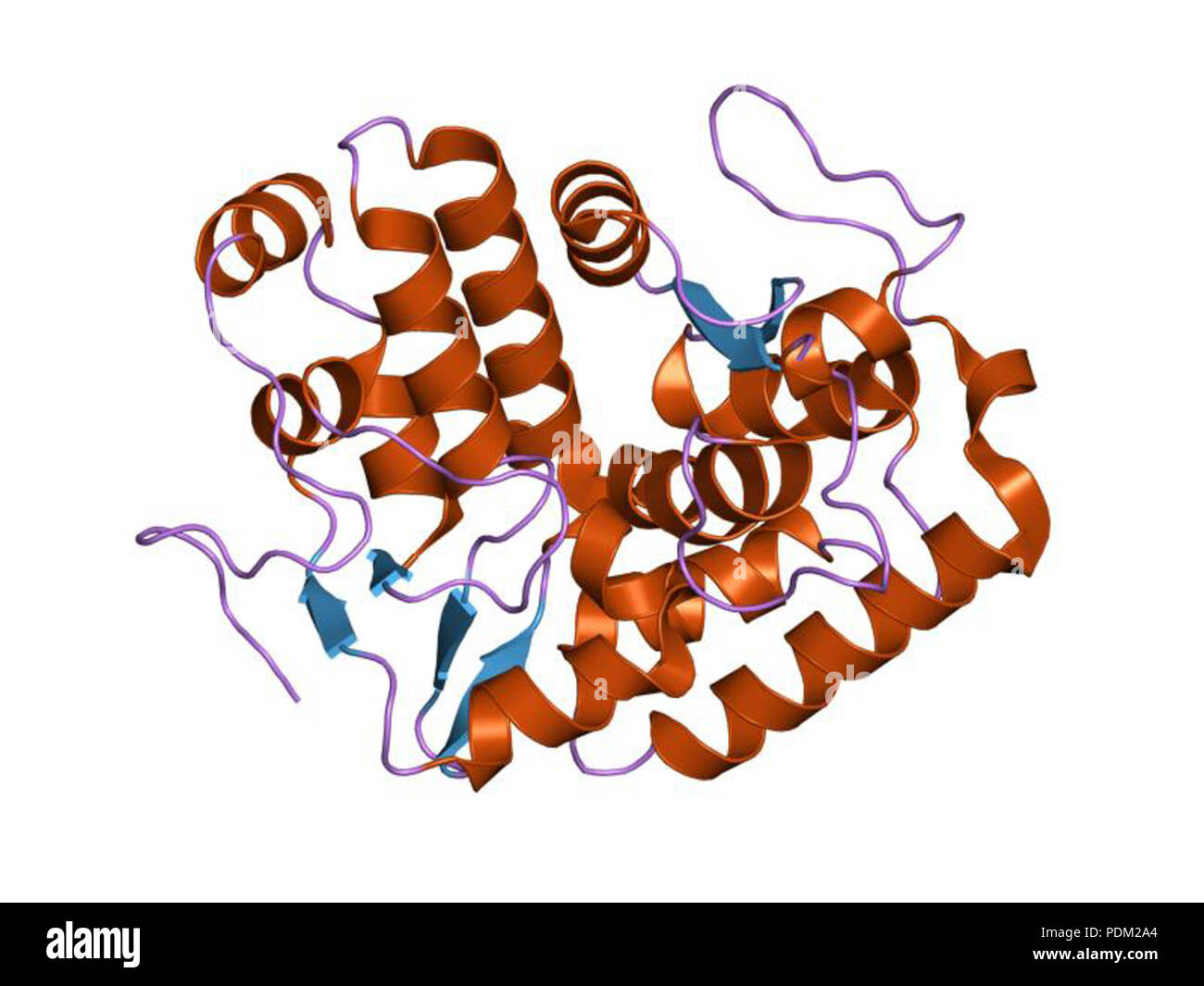 73 elements Cut Out Stock Images & Pictures - Alamy