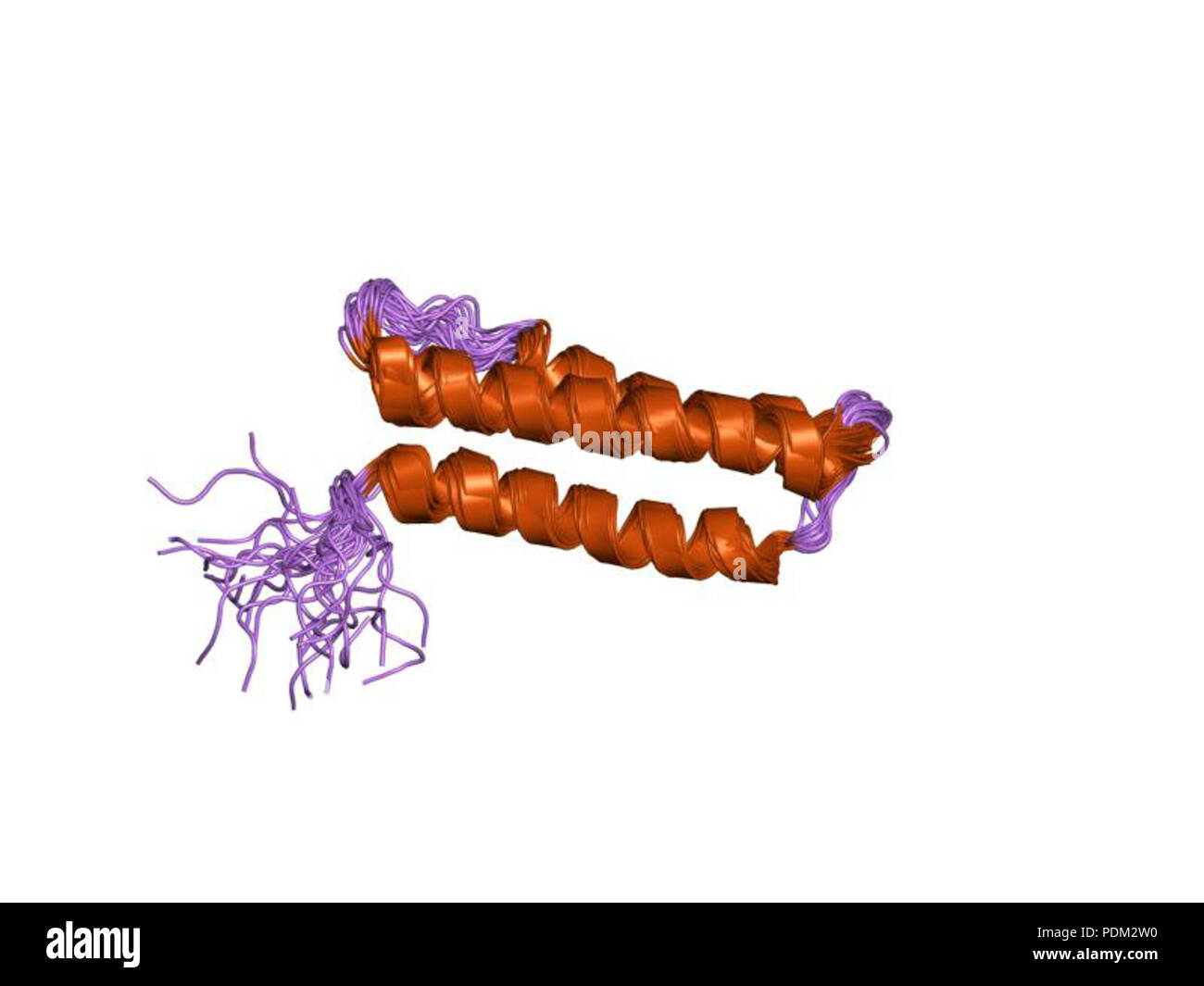 75 PDB 1m62 EBI Stock Photo - Alamy