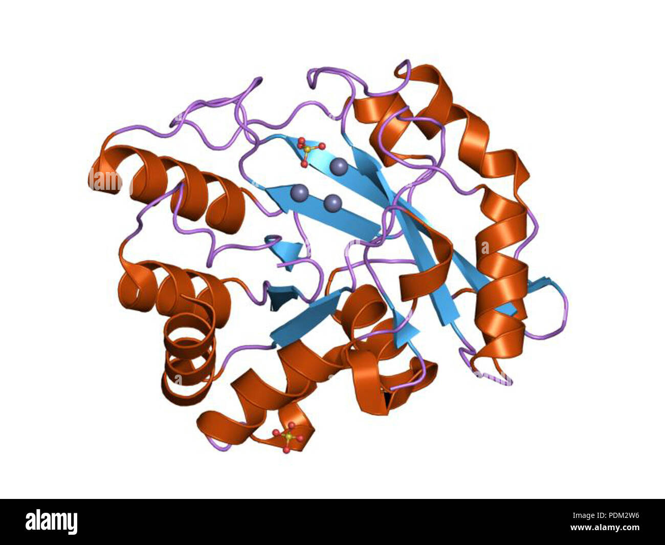 75 PDB 1m68 EBI Stock Photo - Alamy
