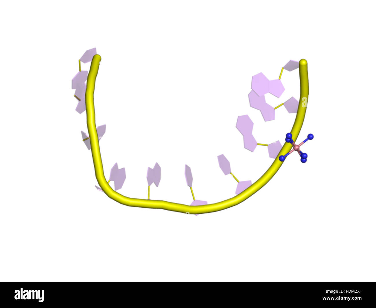 75 PDB 1m77 EBI Stock Photo - Alamy