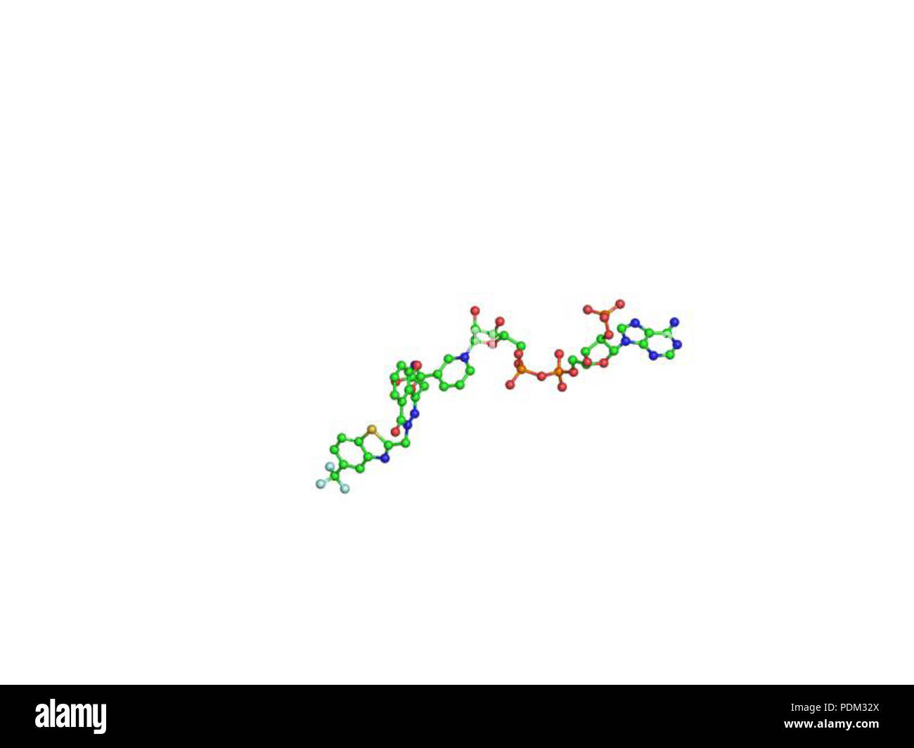 March 1st Cut Out Stock Images & Pictures - Alamy