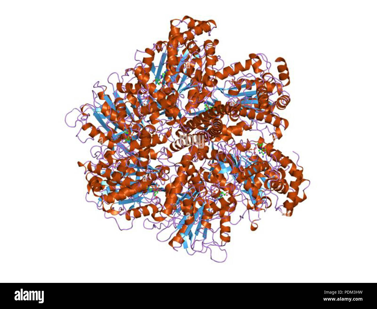 Photograph id hi-res stock photography and images - Alamy