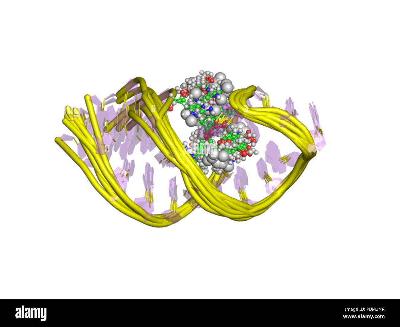 Paper 82 Cut Out Stock Images & Pictures - Alamy