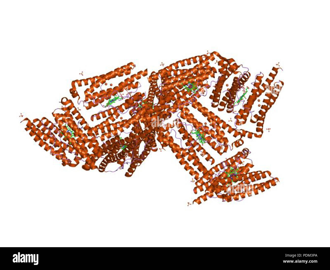 Protein deposit hi-res stock photography and images - Alamy