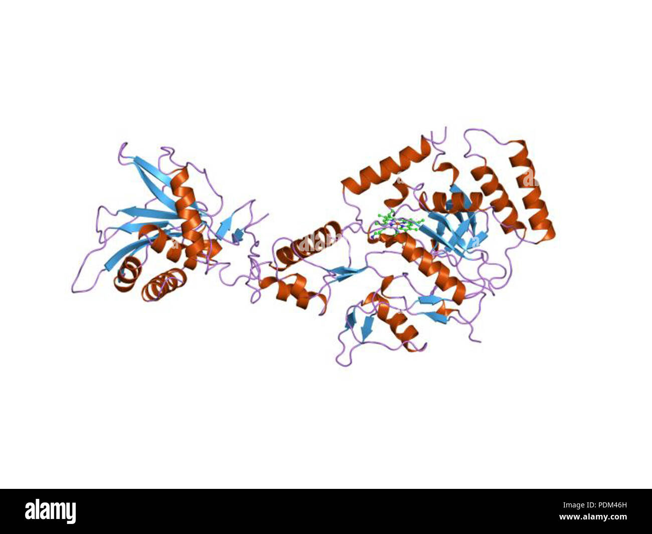 Anthropology reference Cut Out Stock Images & Pictures - Alamy