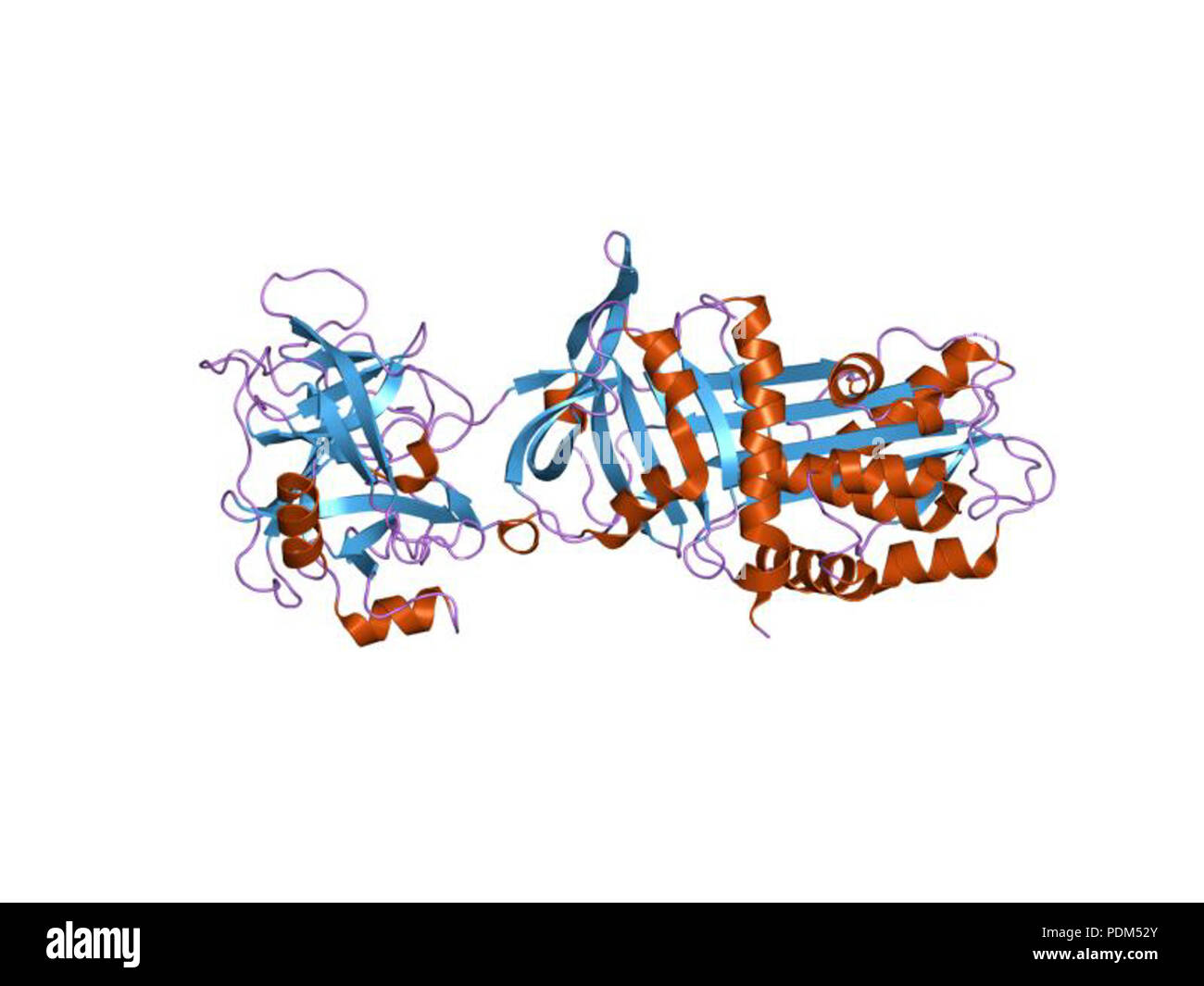 Molecular_model hi-res stock photography and images - Alamy