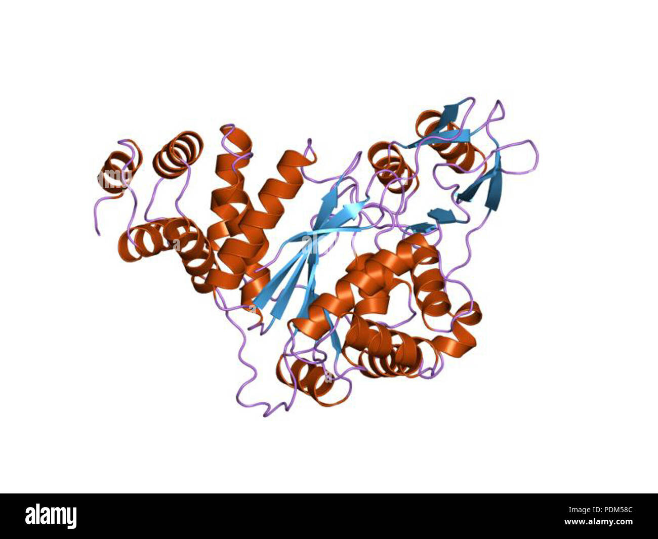 90 PDB 1otp EBI Stock Photo - Alamy