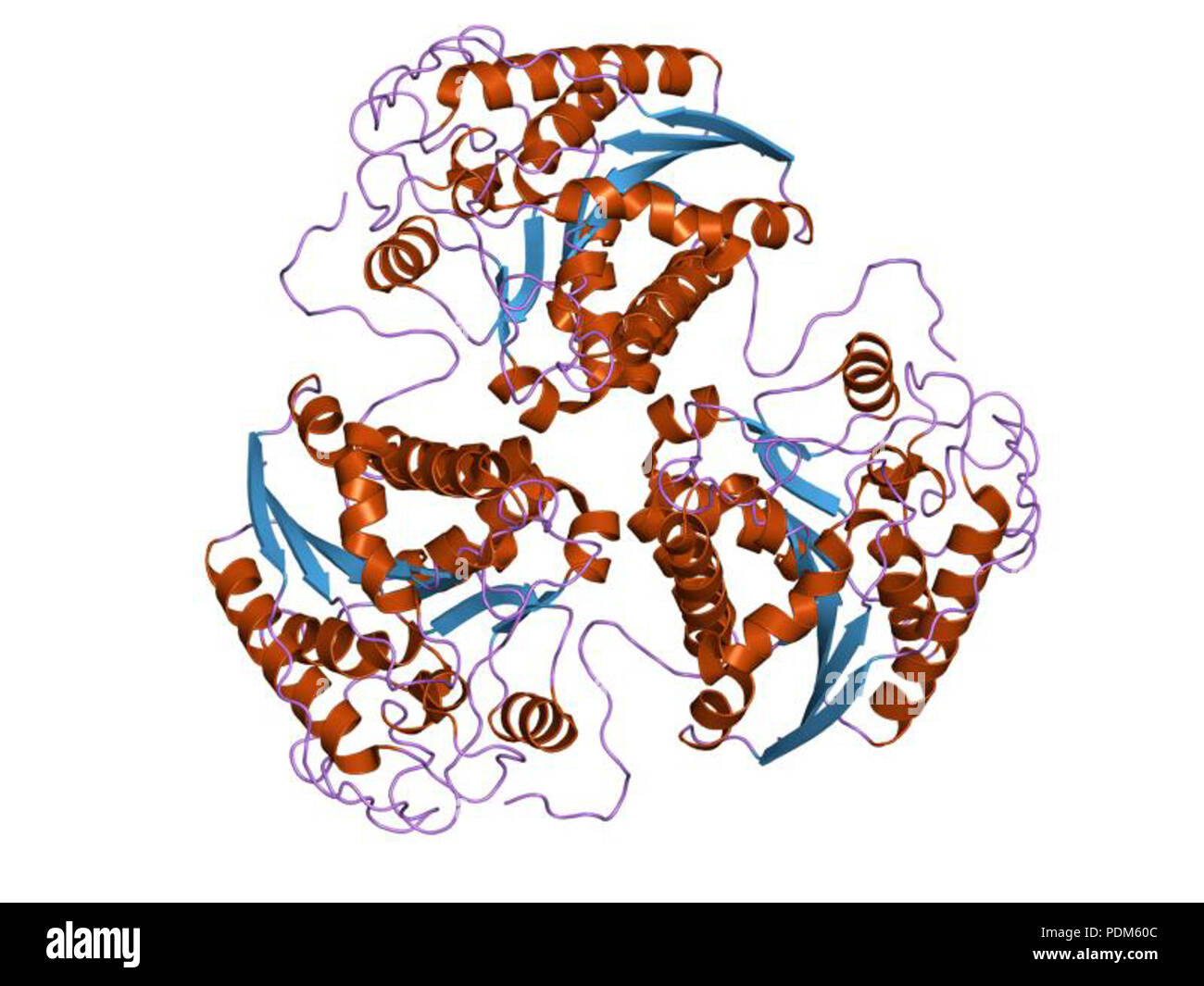 93 PDB 1p8p EBI Stock Photo - Alamy