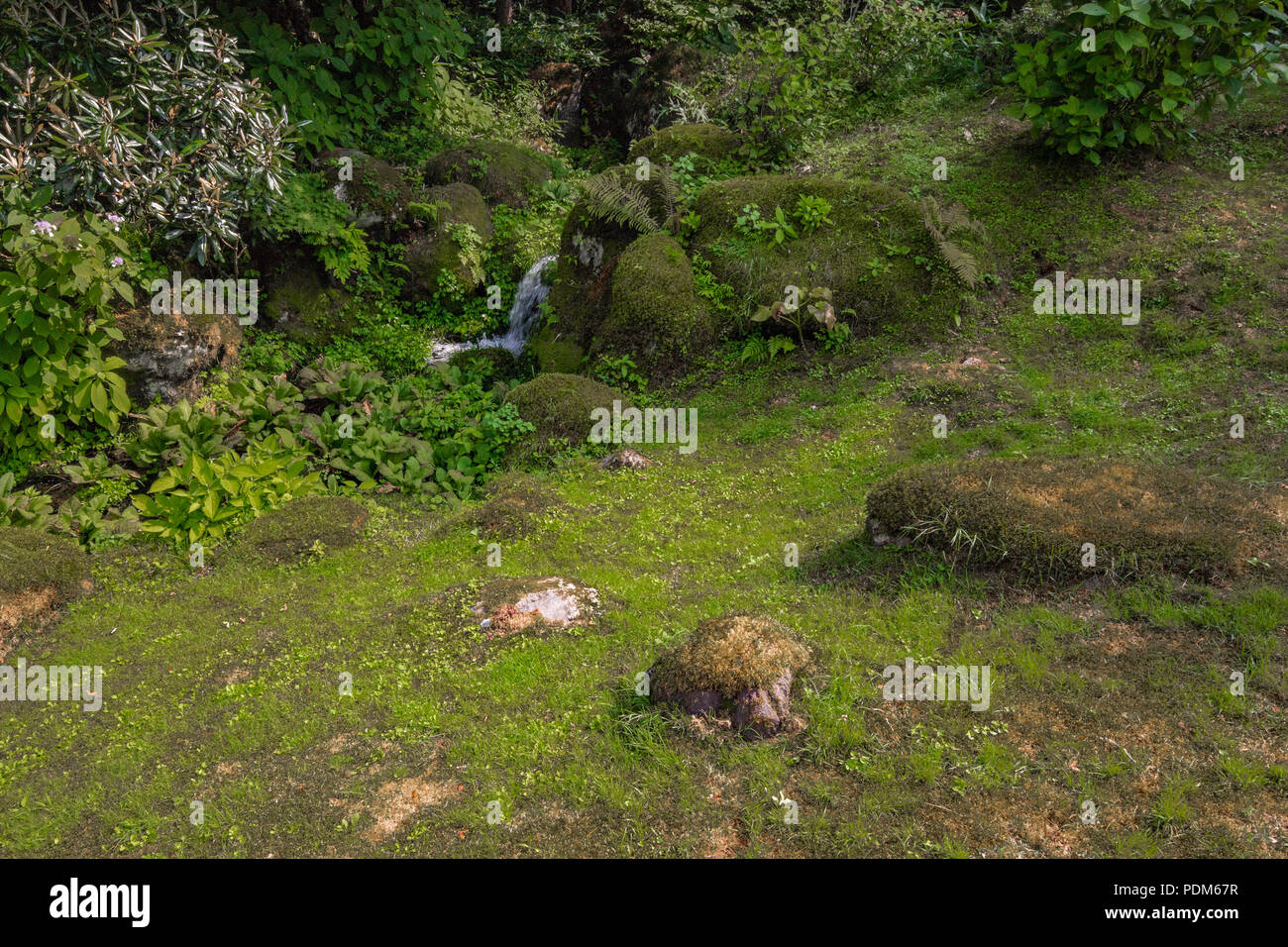 Tamozawa Imperial Villa Goyotei blends traditional Edo and early modern ...