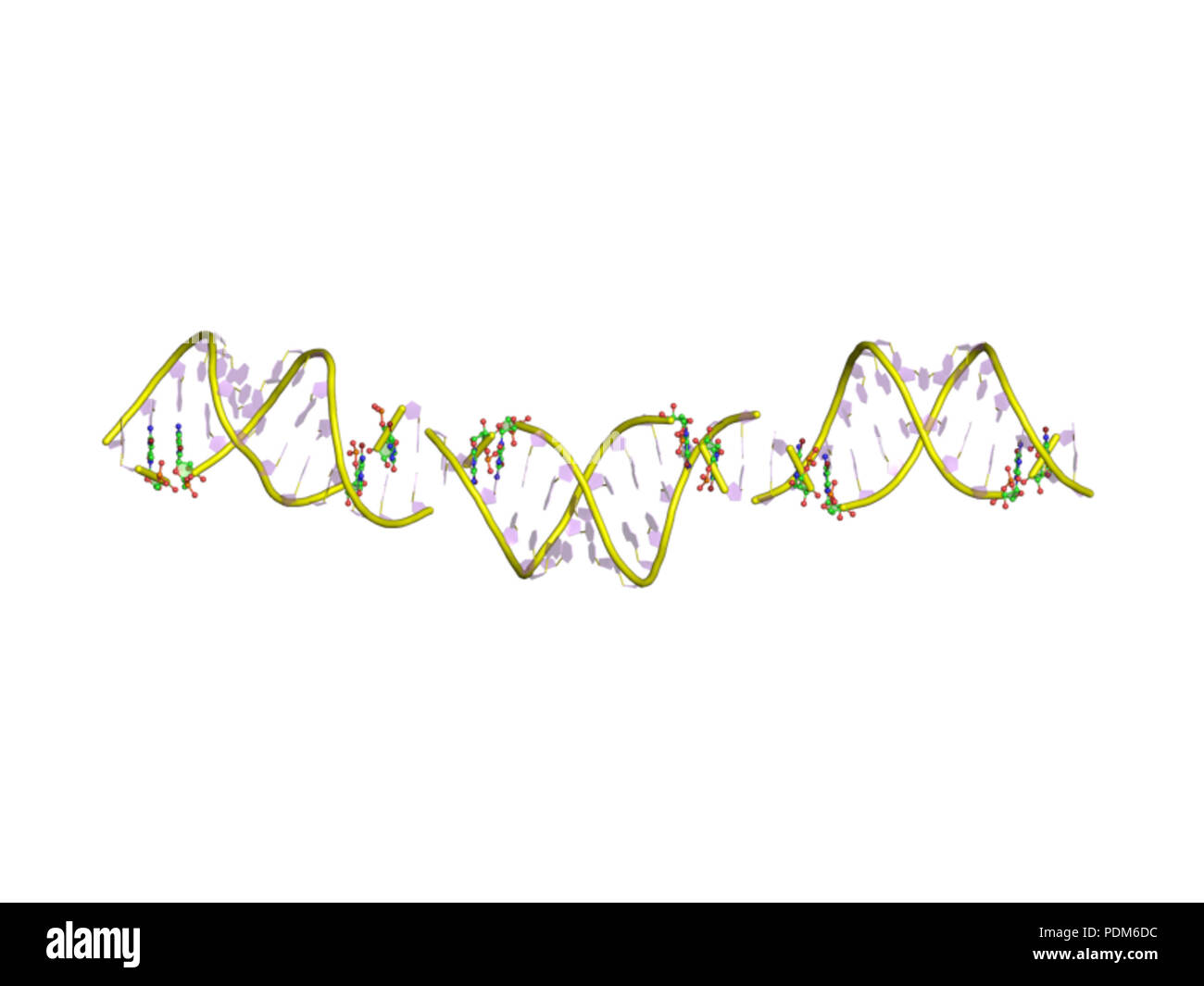 Imaging processes hi-res stock photography and images - Alamy