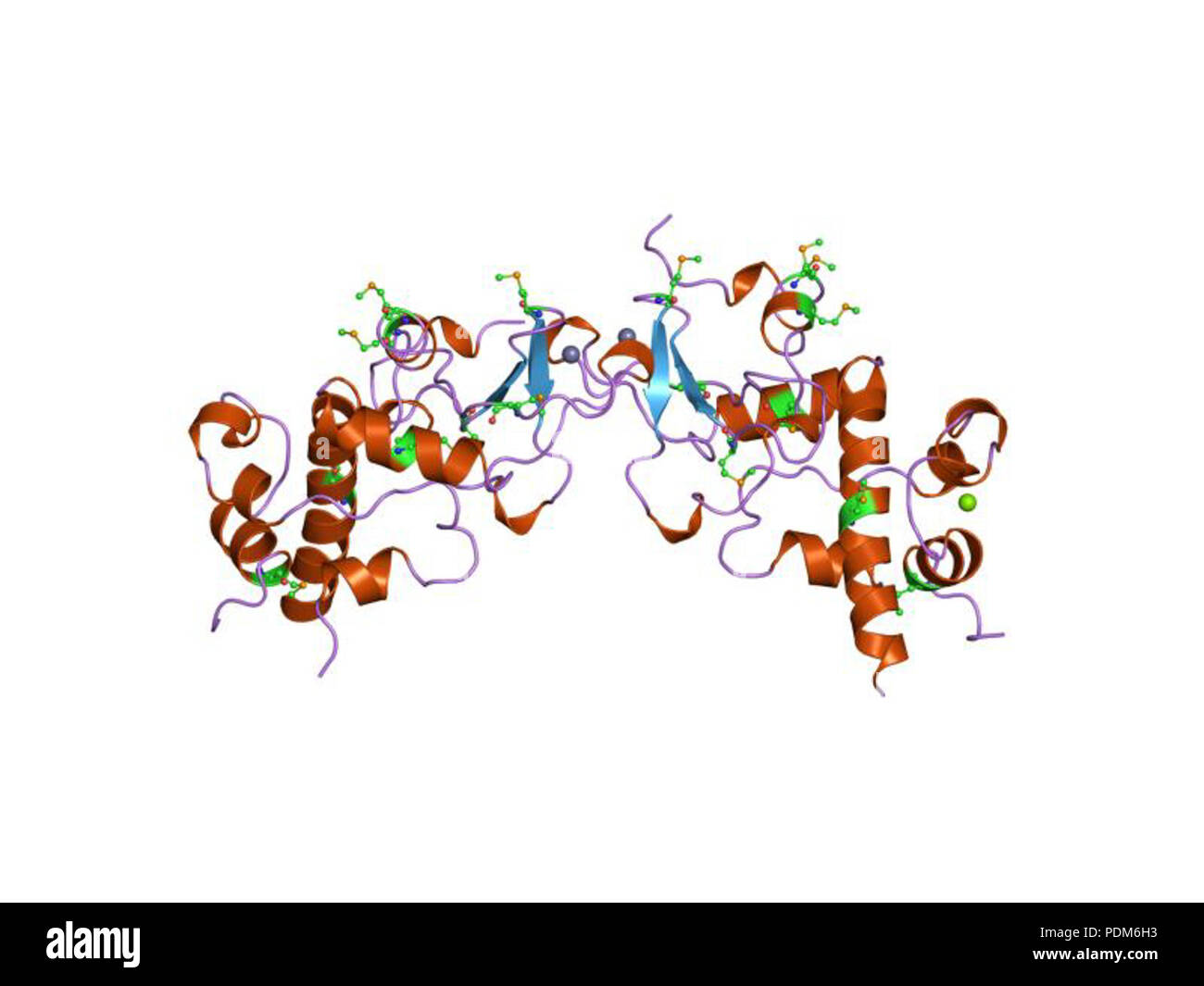 99 number Cut Out Stock Images & Pictures - Alamy