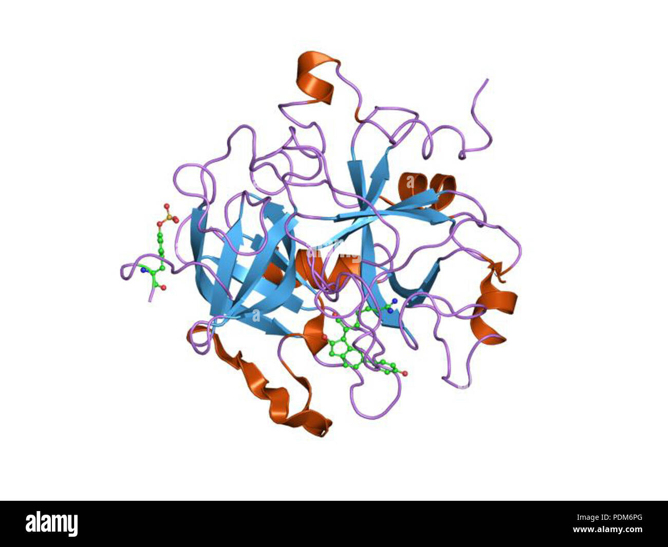 Tertiary mapping hi-res stock photography and images - Alamy