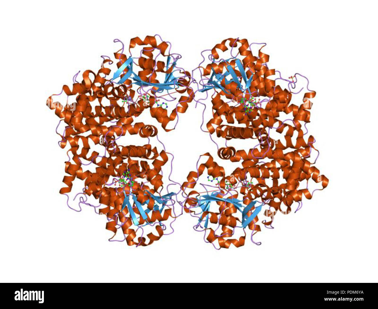 Protein data bank hi-res stock photography and images - Alamy