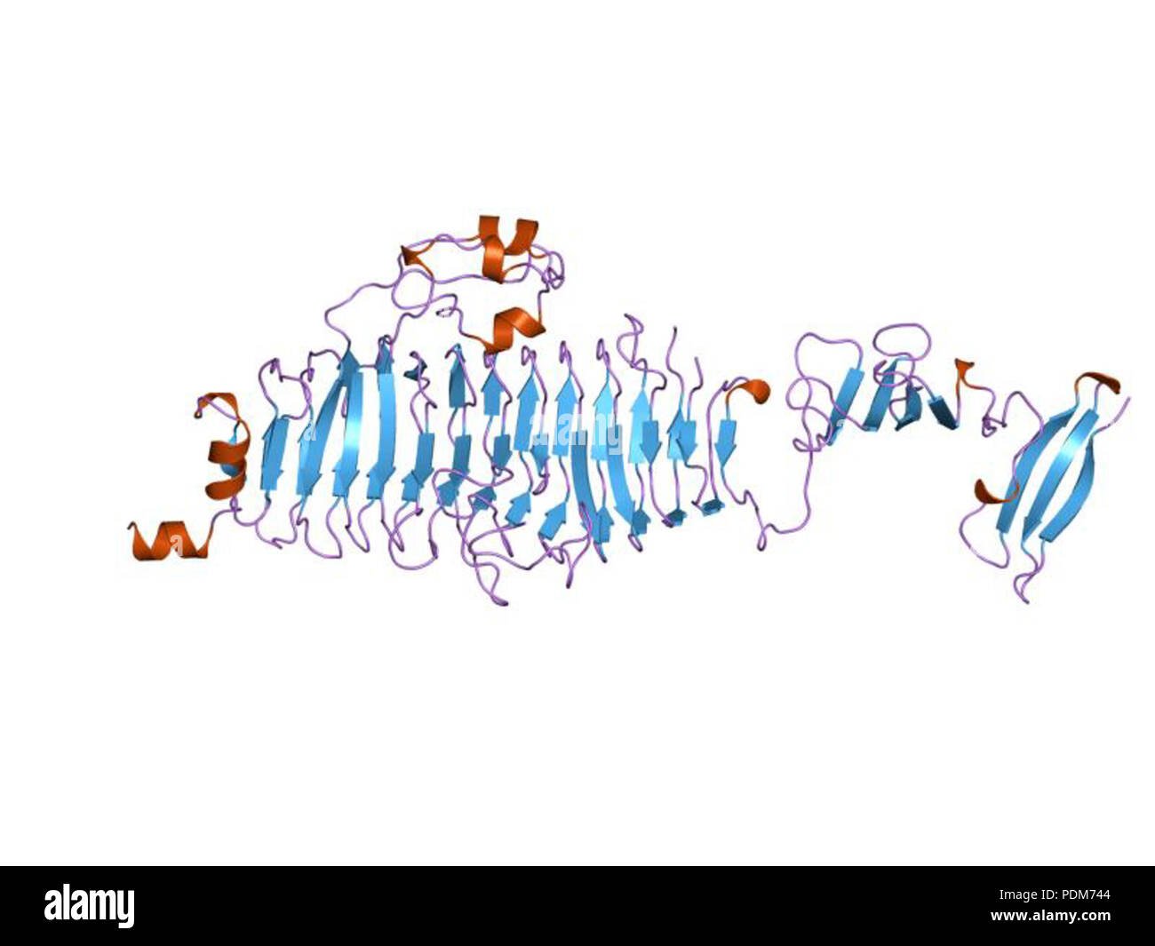 101 PDB 1qq1 EBI Stock Photo - Alamy