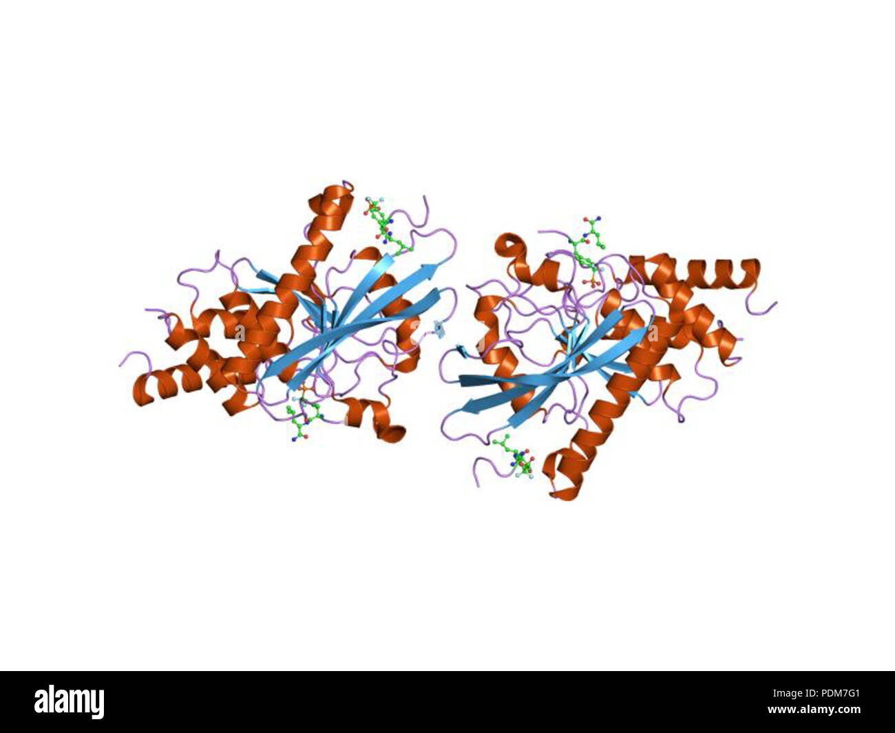 103 PDB 1qz0 EBI Stock Photo - Alamy