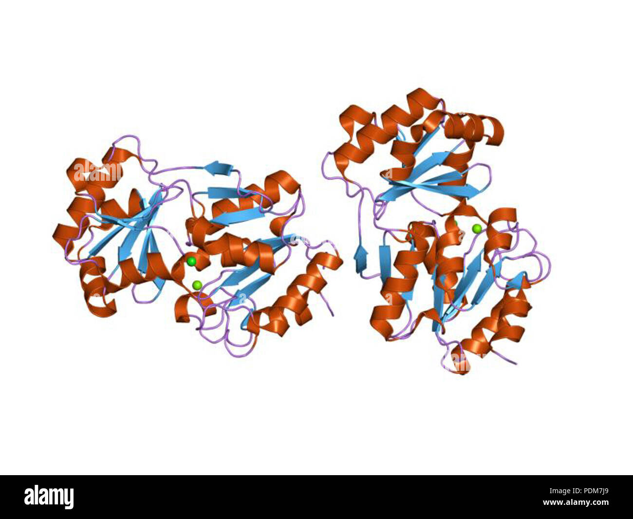 Film experiment Cut Out Stock Images & Pictures - Alamy