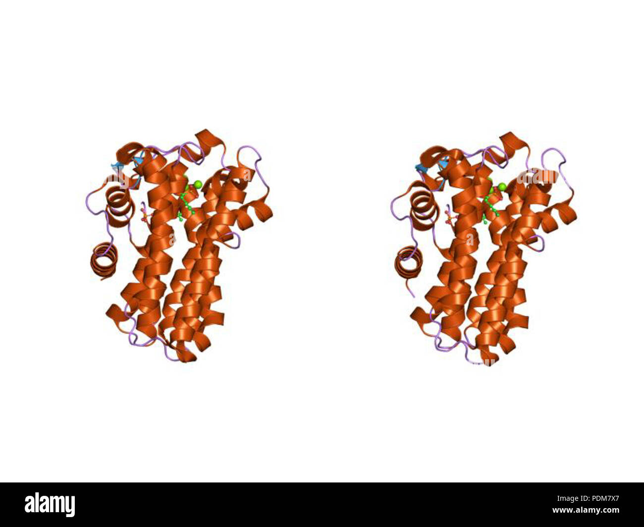 Structural examination Cut Out Stock Images & Pictures - Alamy