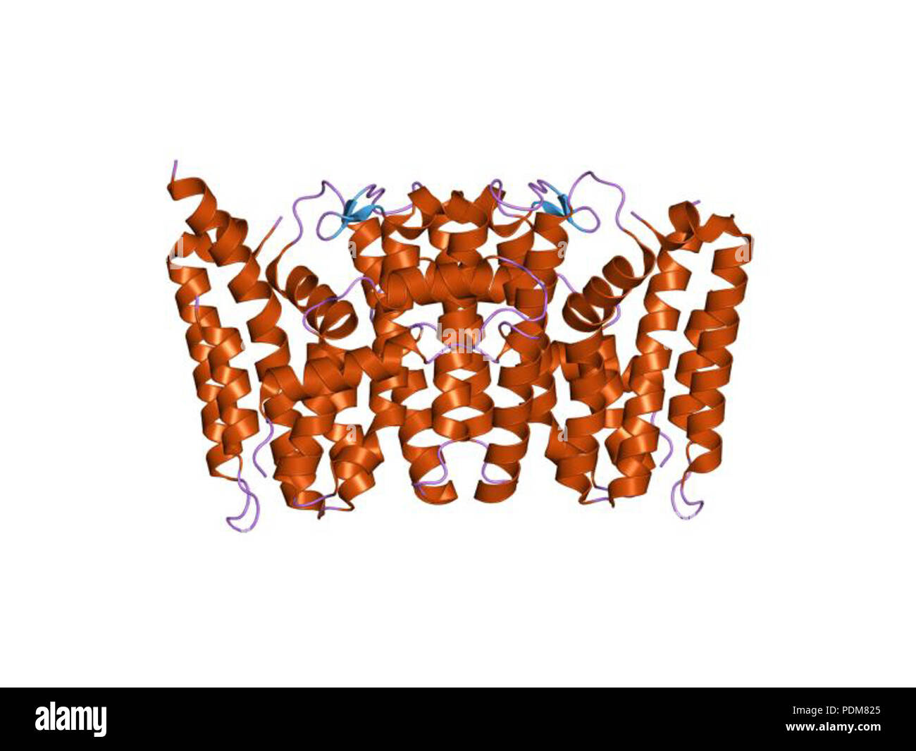 1rtr hi-res stock photography and images - Alamy