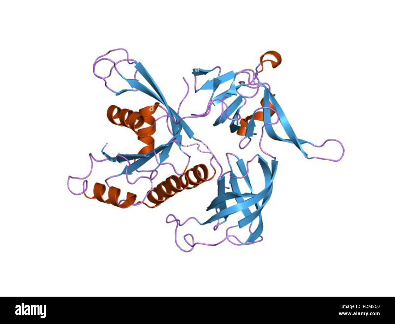 Tertiary mapping hi-res stock photography and images - Alamy