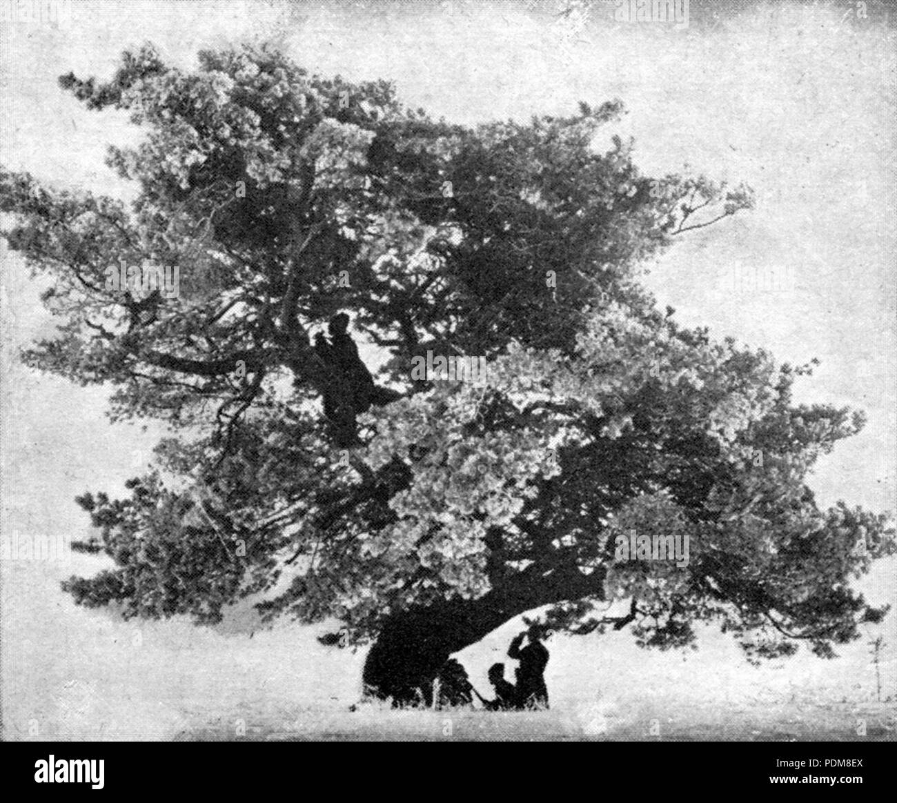 Study sites Black and White Stock Photos & Images - Alamy