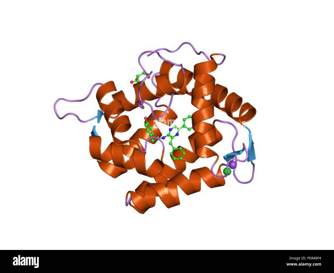 109 бажанов да оформление Cut Out Stock Images & Pictures - Alamy
