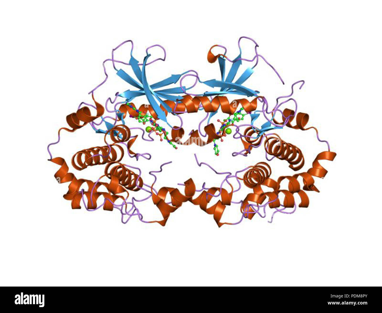 Organizational studies Cut Out Stock Images & Pictures - Alamy