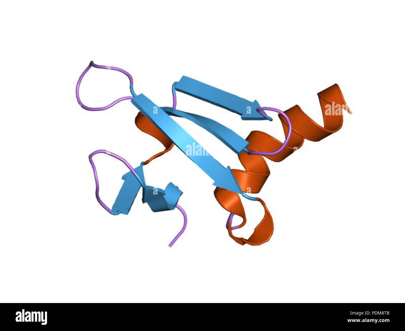 110 PDB 1sap EBI Stock Photo - Alamy