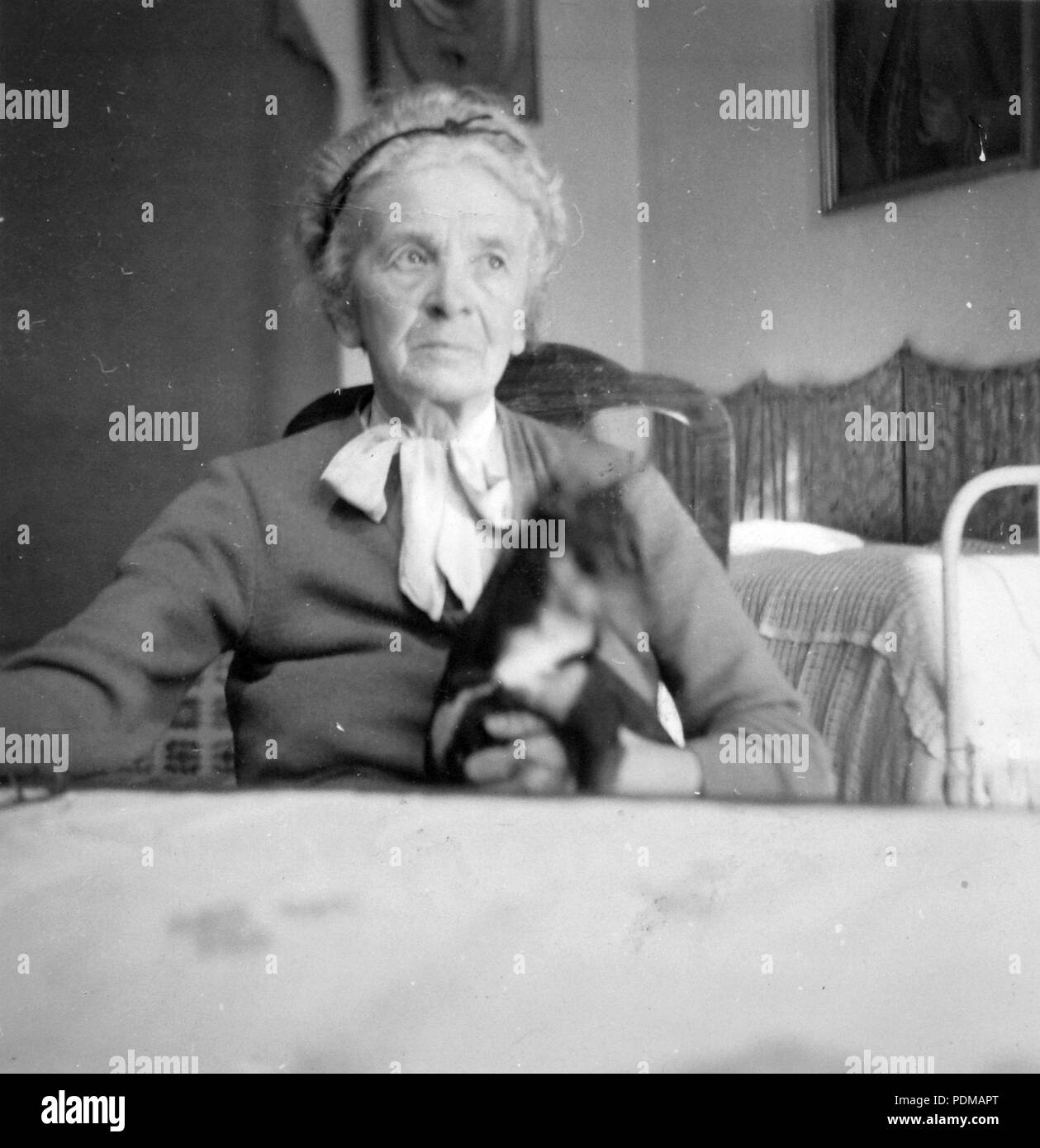 Photo woman cat Black and White Stock Photos & Images - Alamy