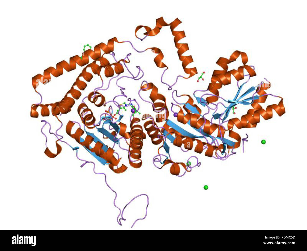 126 PDB 1v16 EBI Stock Photo - Alamy