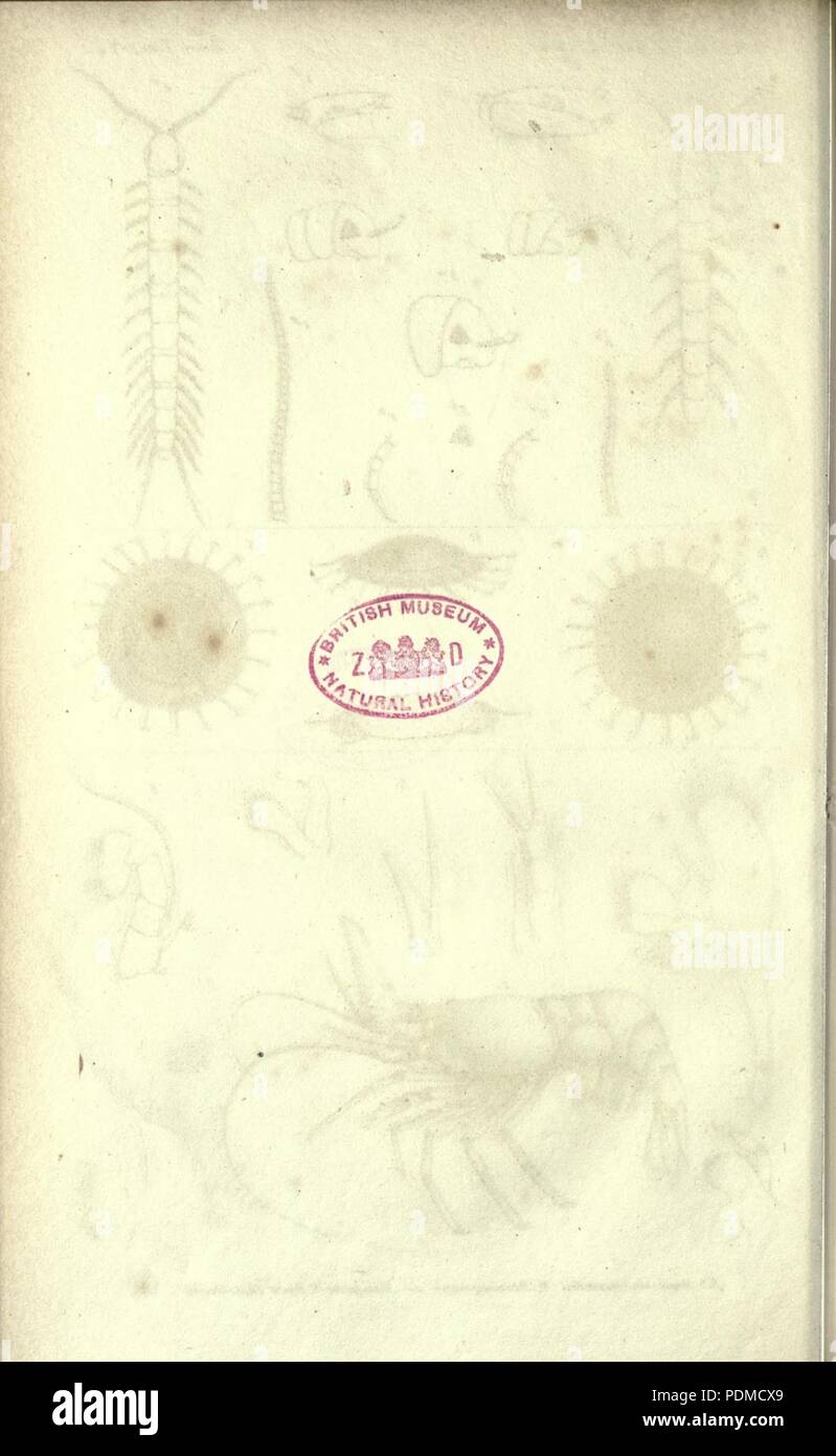 Sciences naturelles hi-res stock photography and images - Alamy