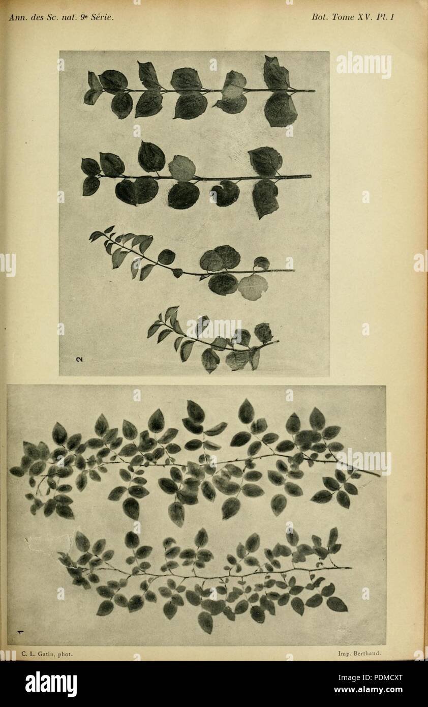 Sciences naturelles hi-res stock photography and images - Alamy