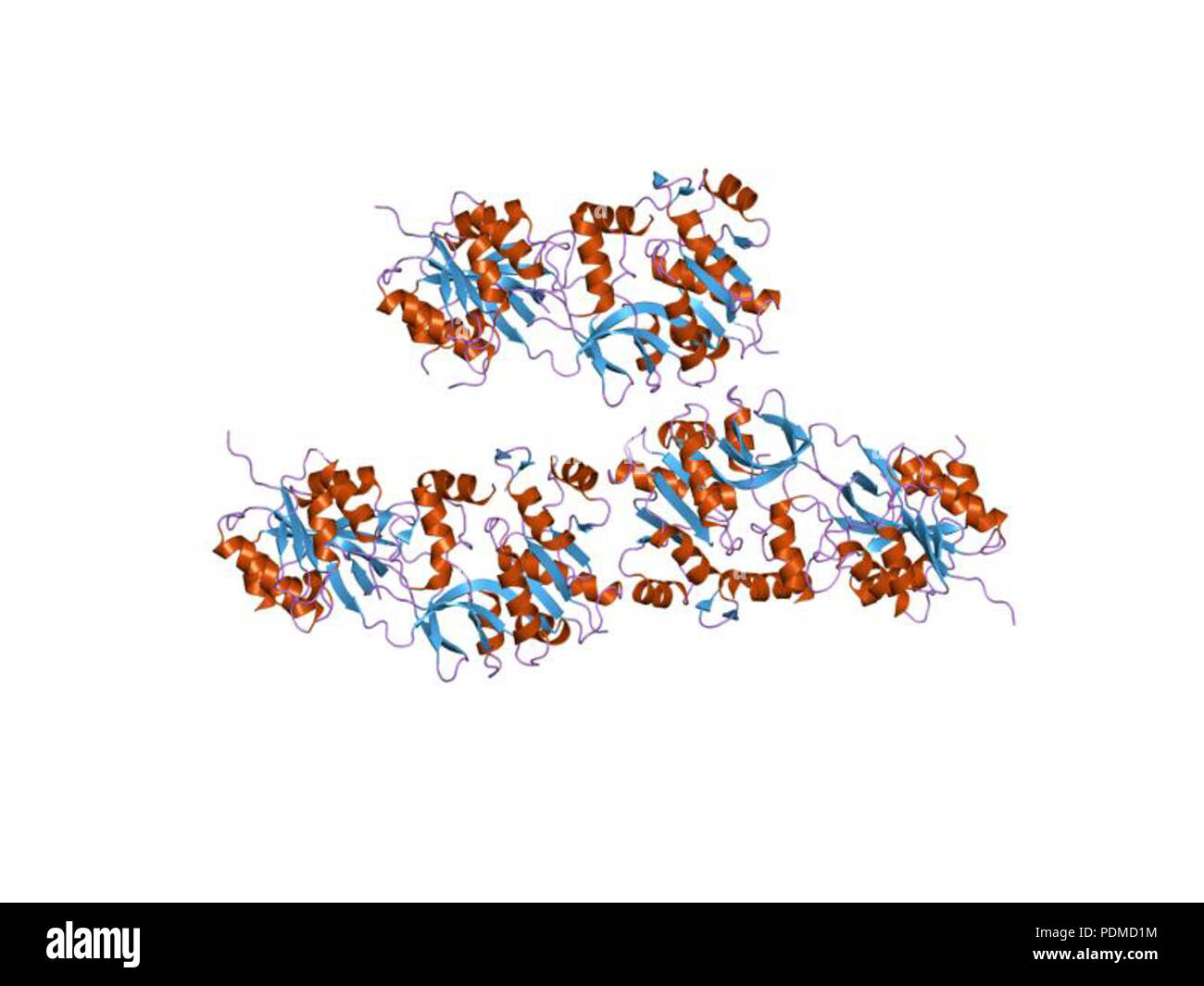 2°c Cut Out Stock Images & Pictures - Alamy