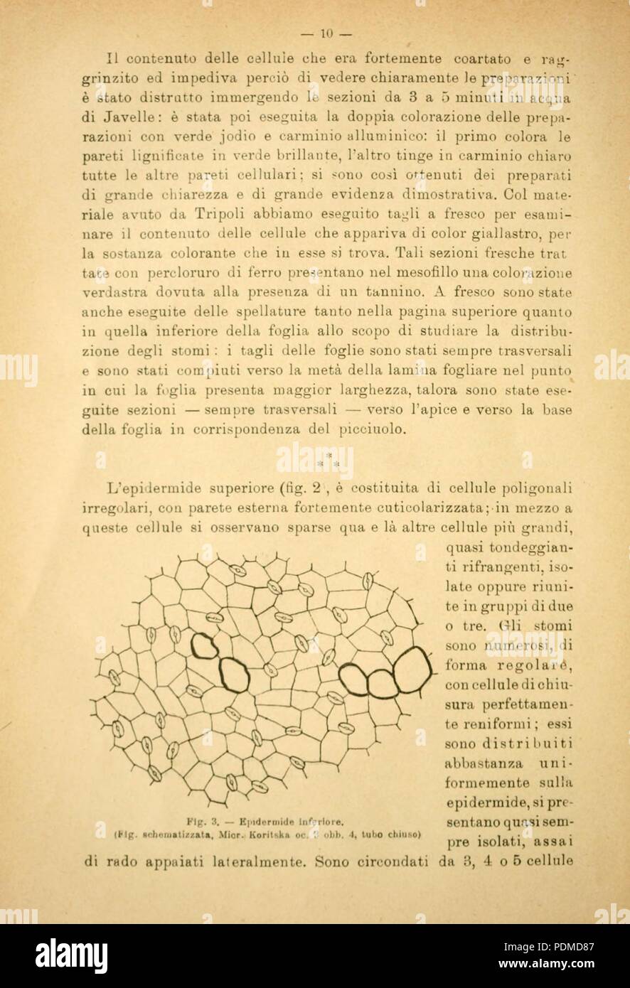 Annali hi-res stock photography and images - Alamy