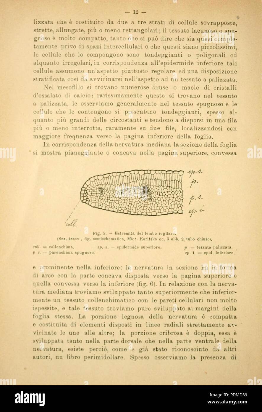 Annali hi-res stock photography and images - Alamy