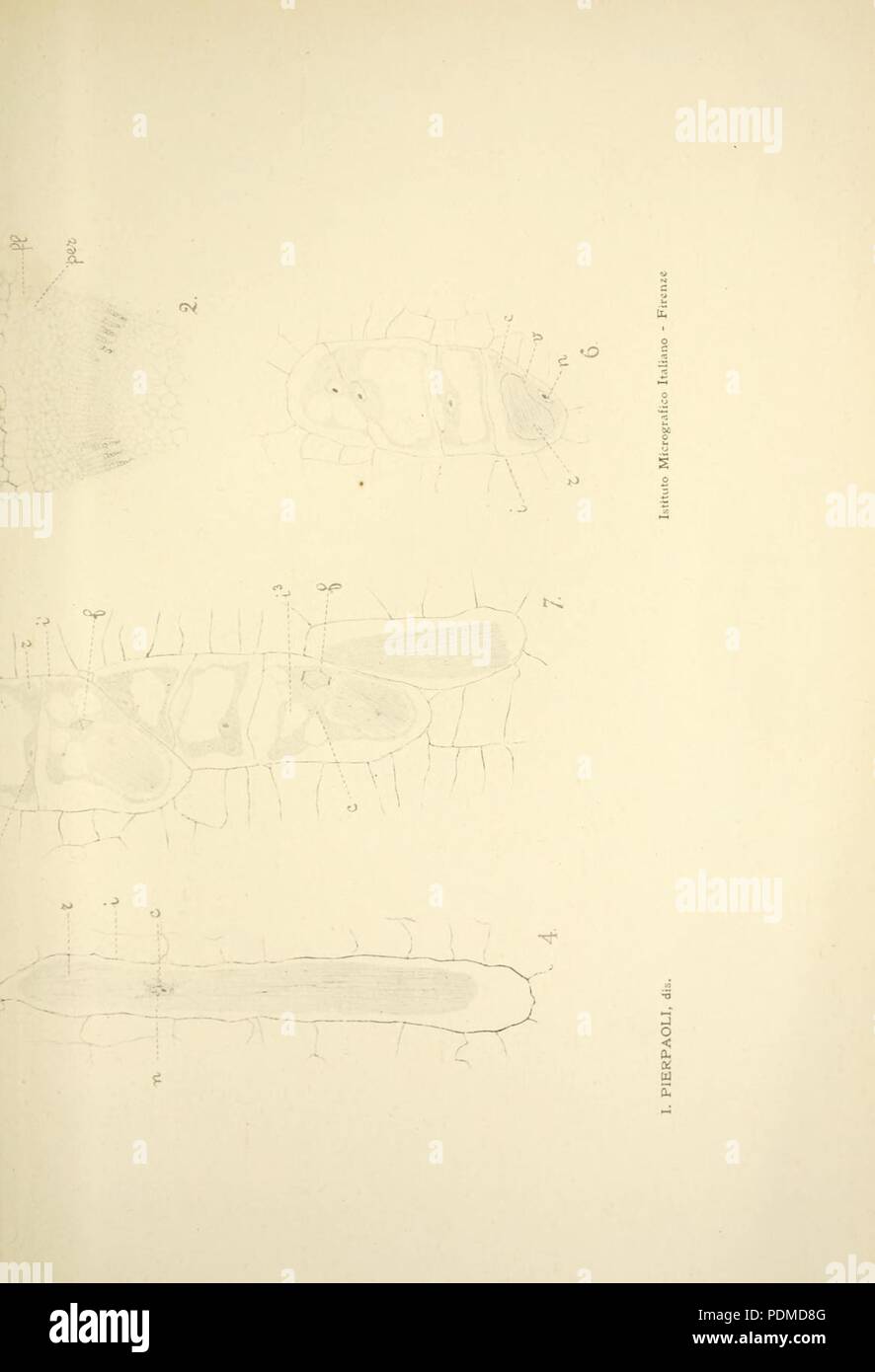 Annali hi-res stock photography and images - Alamy