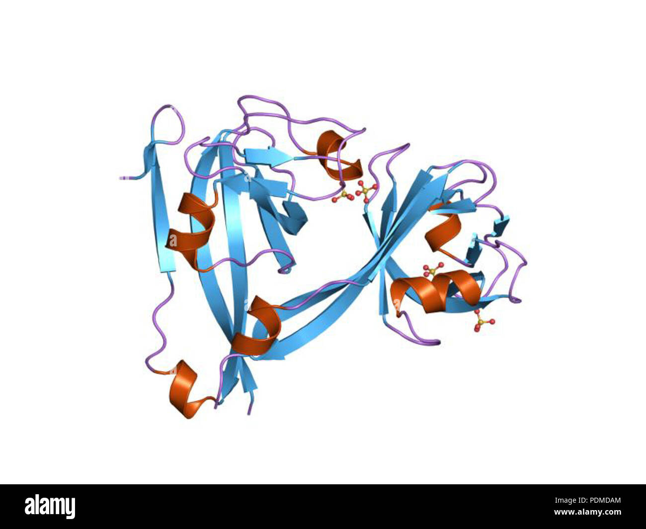 96 PDB 1pt1 EBI Stock Photo - Alamy