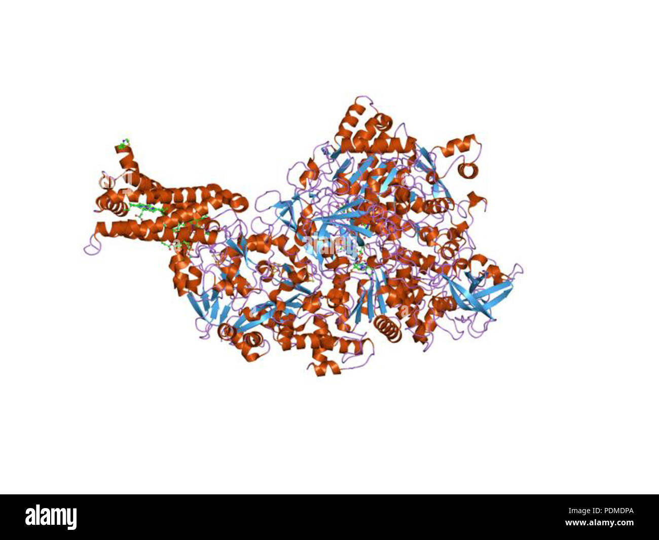 97 PDB 1q16 EBI Stock Photo - Alamy