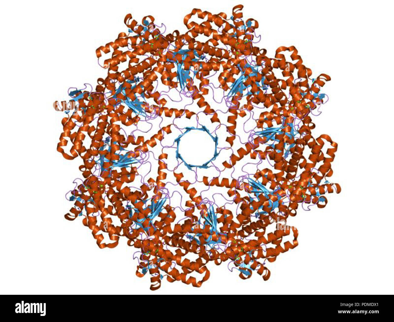 Thermococcus hi-res stock photography and images - Alamy