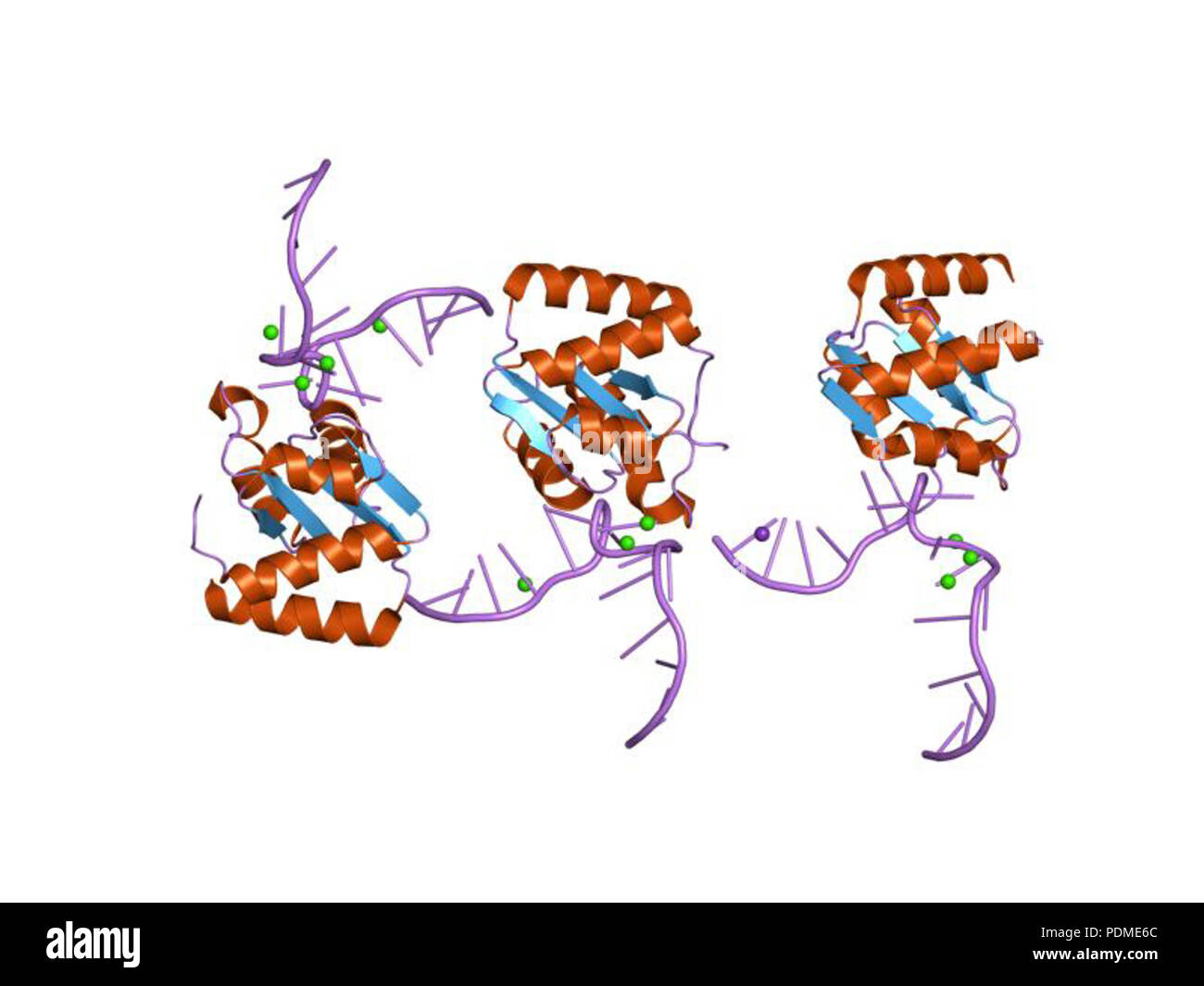 Imaging processes Cut Out Stock Images & Pictures - Alamy