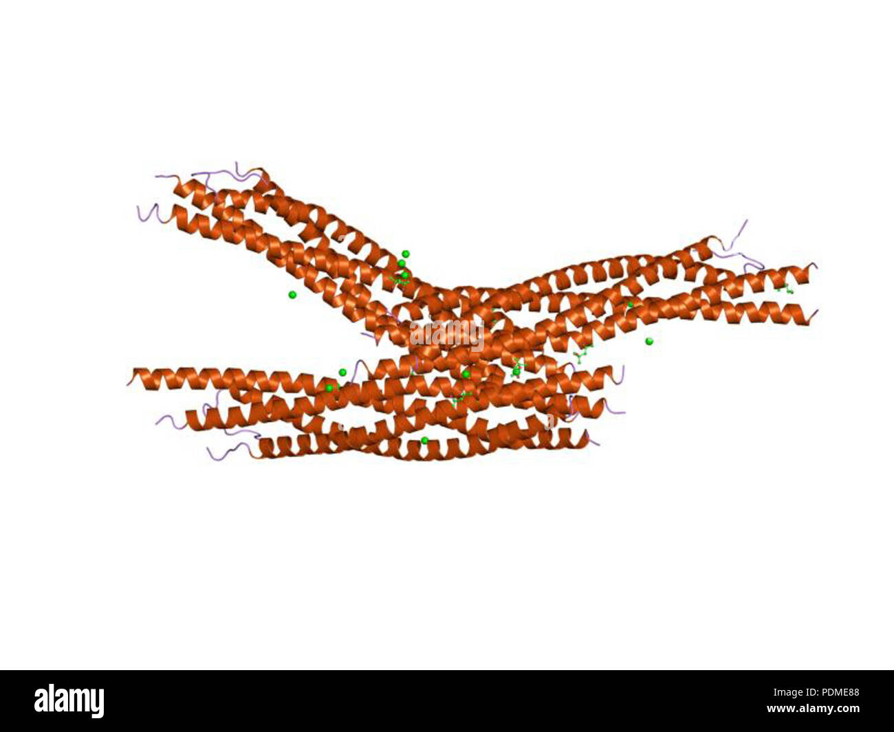 1sfc hi-res stock photography and images - Alamy