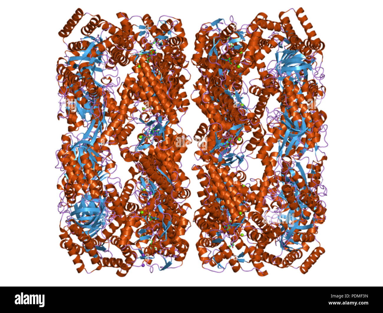 114 PDB 1sx3 EBI Stock Photo - Alamy