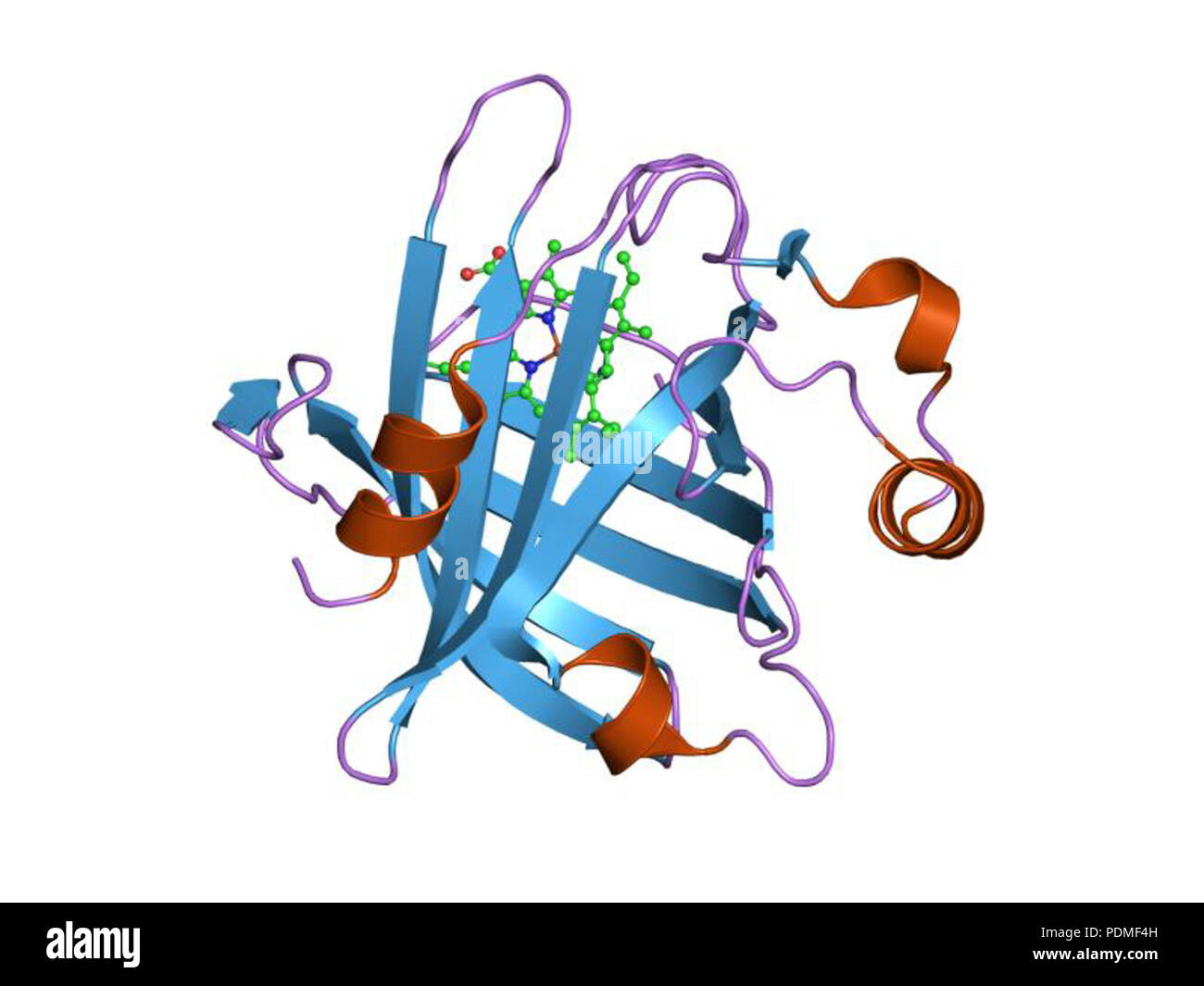 114 PDB 1sxu EBI Stock Photo - Alamy