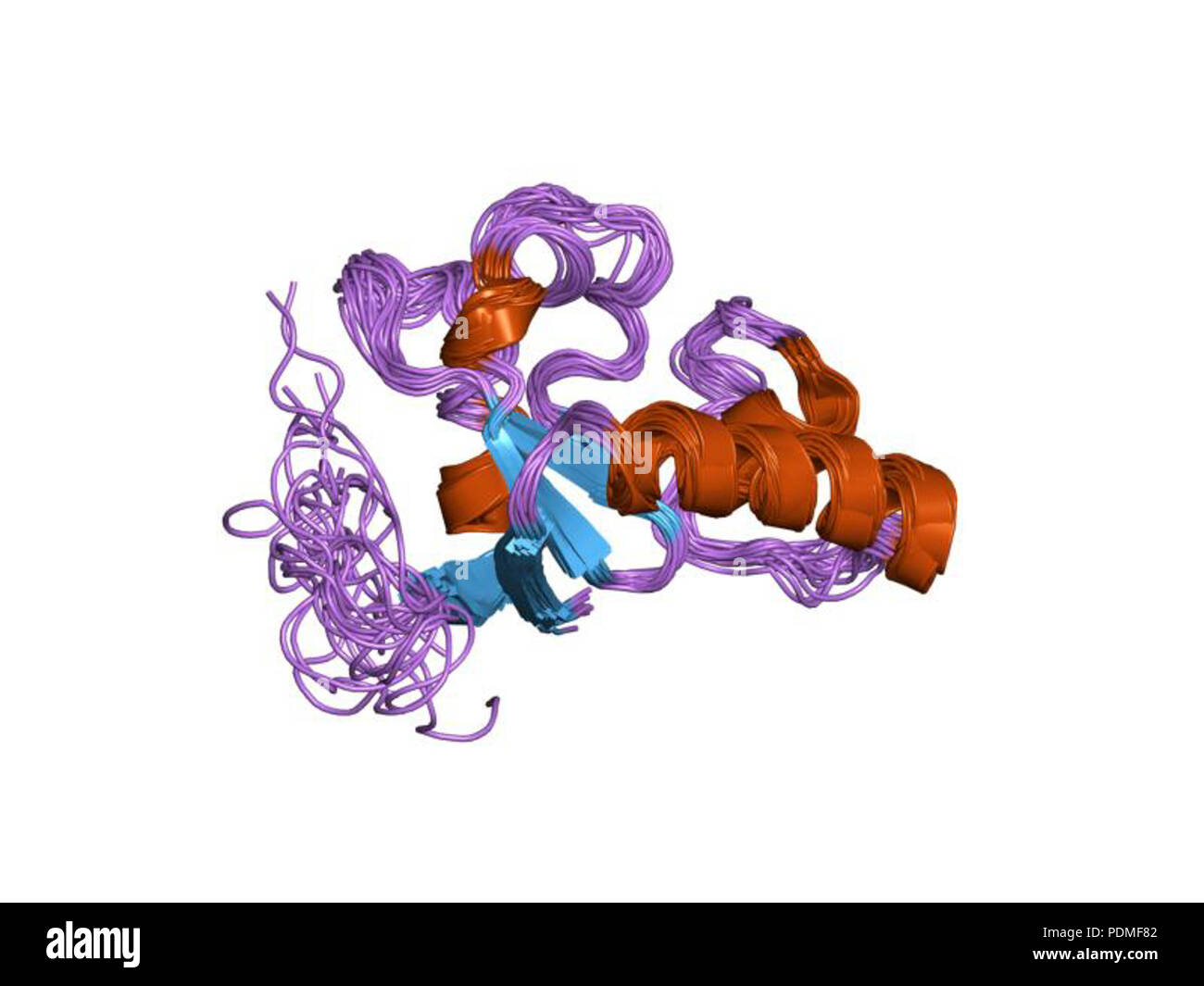 Biophysical experiments hi-res stock photography and images - Alamy
