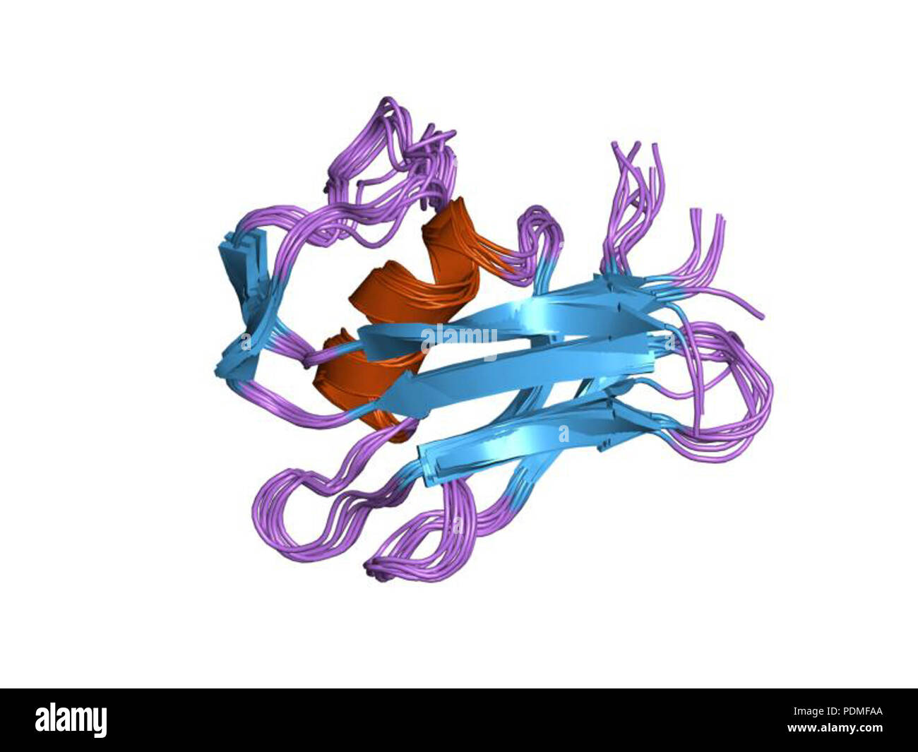 115 PDB 1t23 EBI Stock Photo - Alamy
